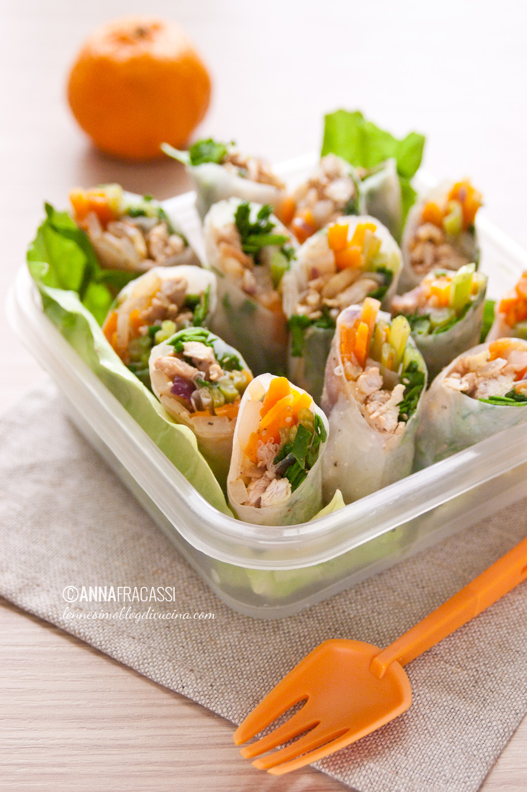 Involtini di carta di riso con verdure di stagione e tacchino