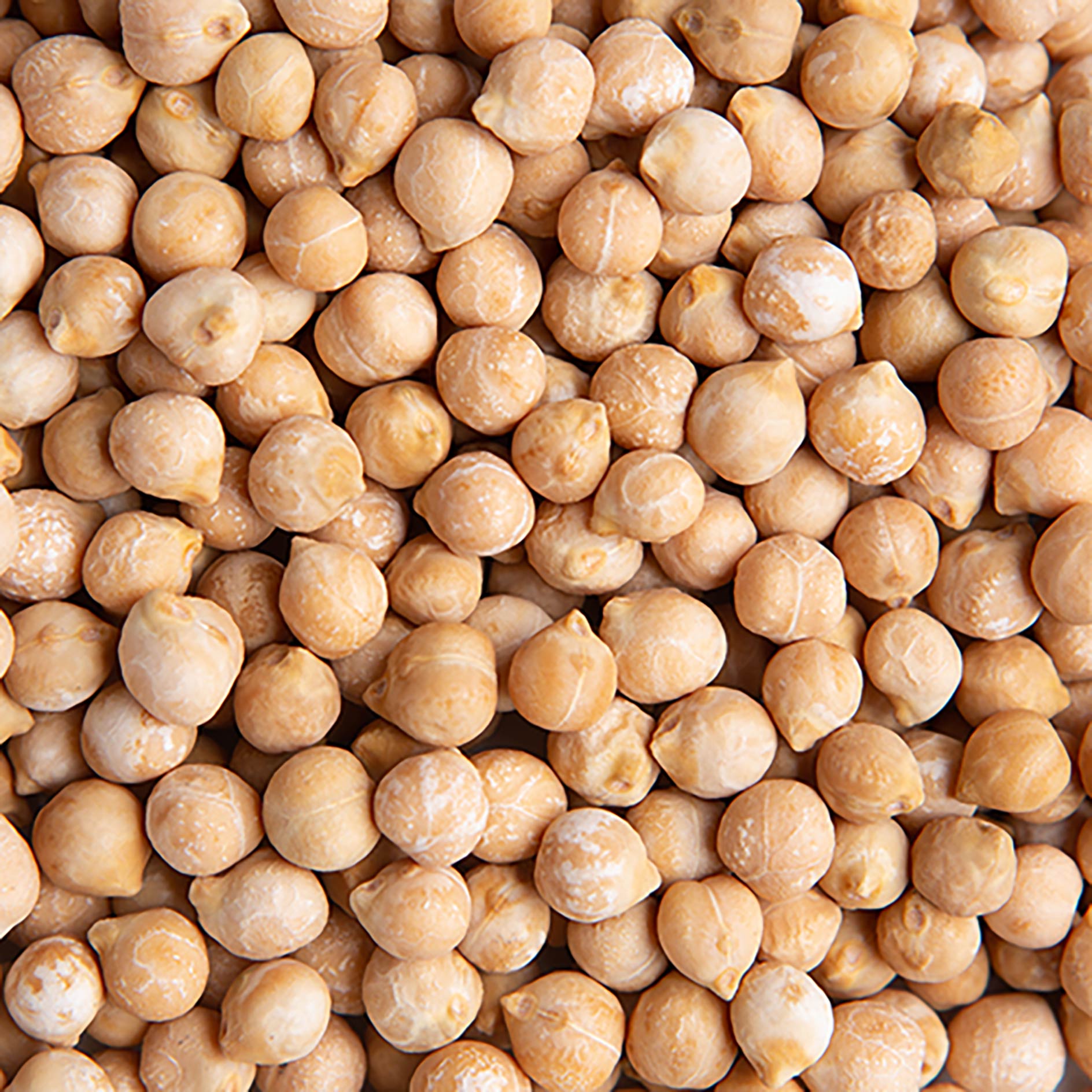 Home - L'ennesimo blog di cucina